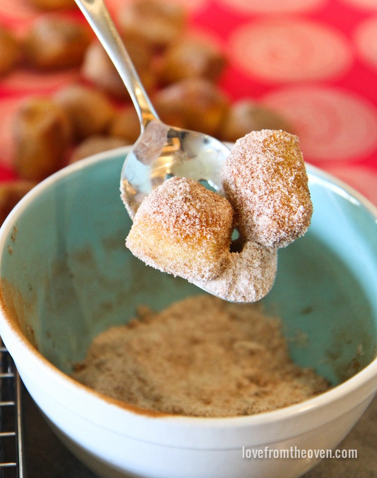 Cinnamon Sugar Pretzel Bites • Love From The Oven