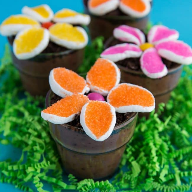 Flower Pot Pudding Dirt Cups • Love From The Oven