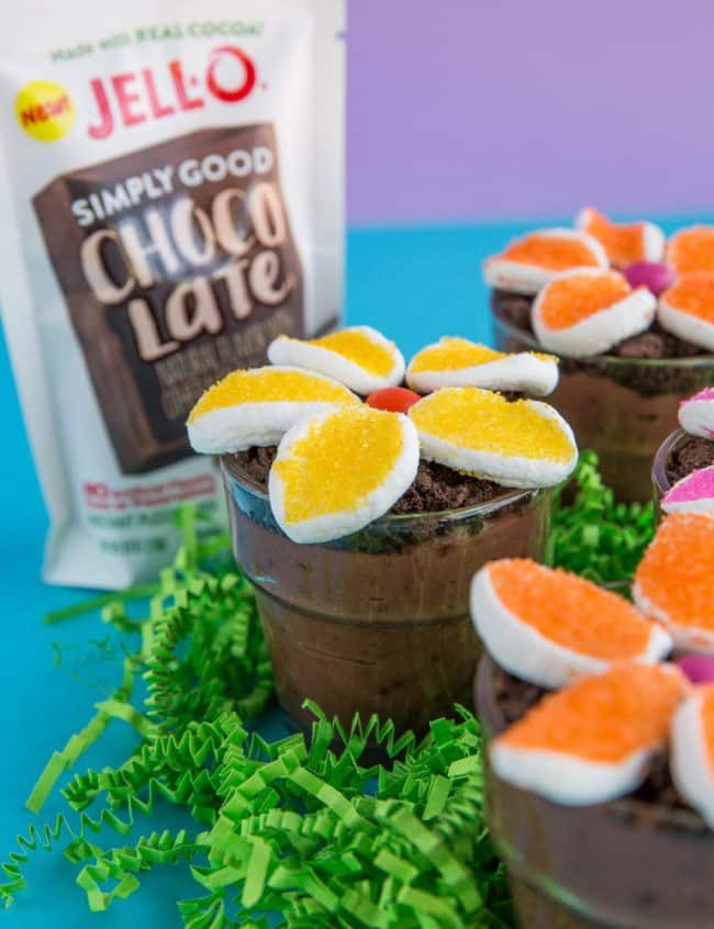 Flower Pot Pudding Dirt Cups • Love From The Oven