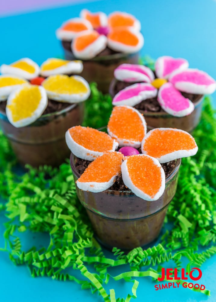 Flower Pot Pudding Dirt Cups • Love From The Oven