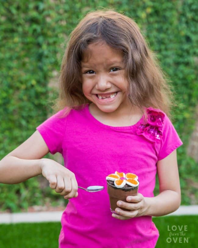 Flower Pot Pudding Dirt Cups • Love From The Oven
