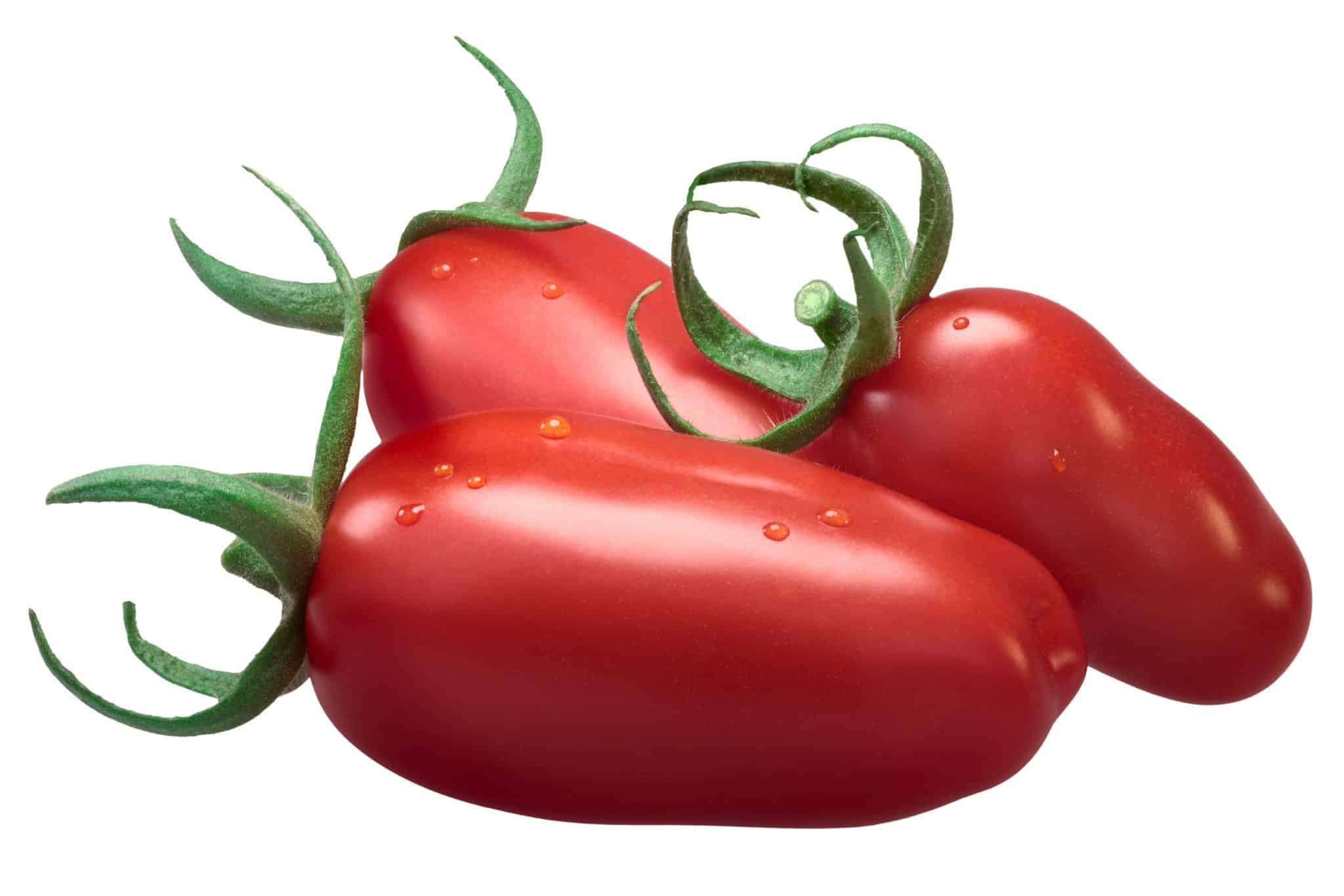 Easy Marcella Hazan Toamto Sauce • Love From The Oven