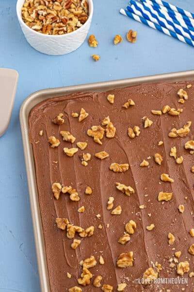 Easy Chocolate Sheet Cake • Love From The Oven