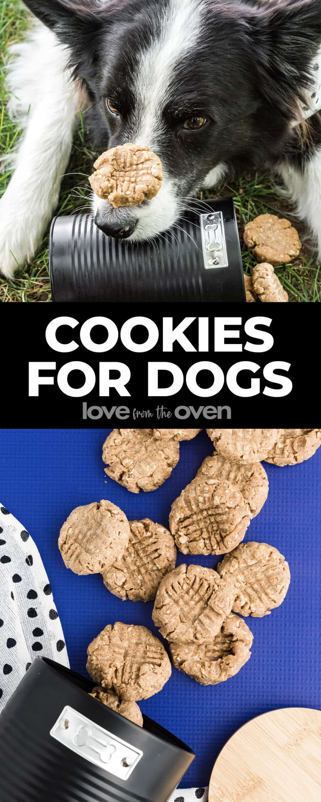 Dog Cookie Recipe • Love From The Oven