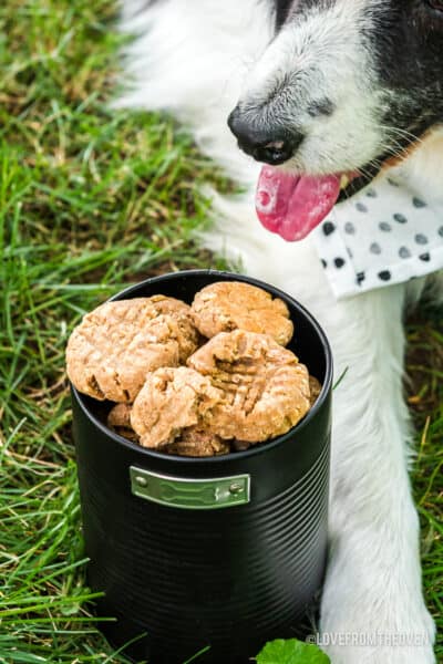 Dog Cookie Recipe • Love From The Oven