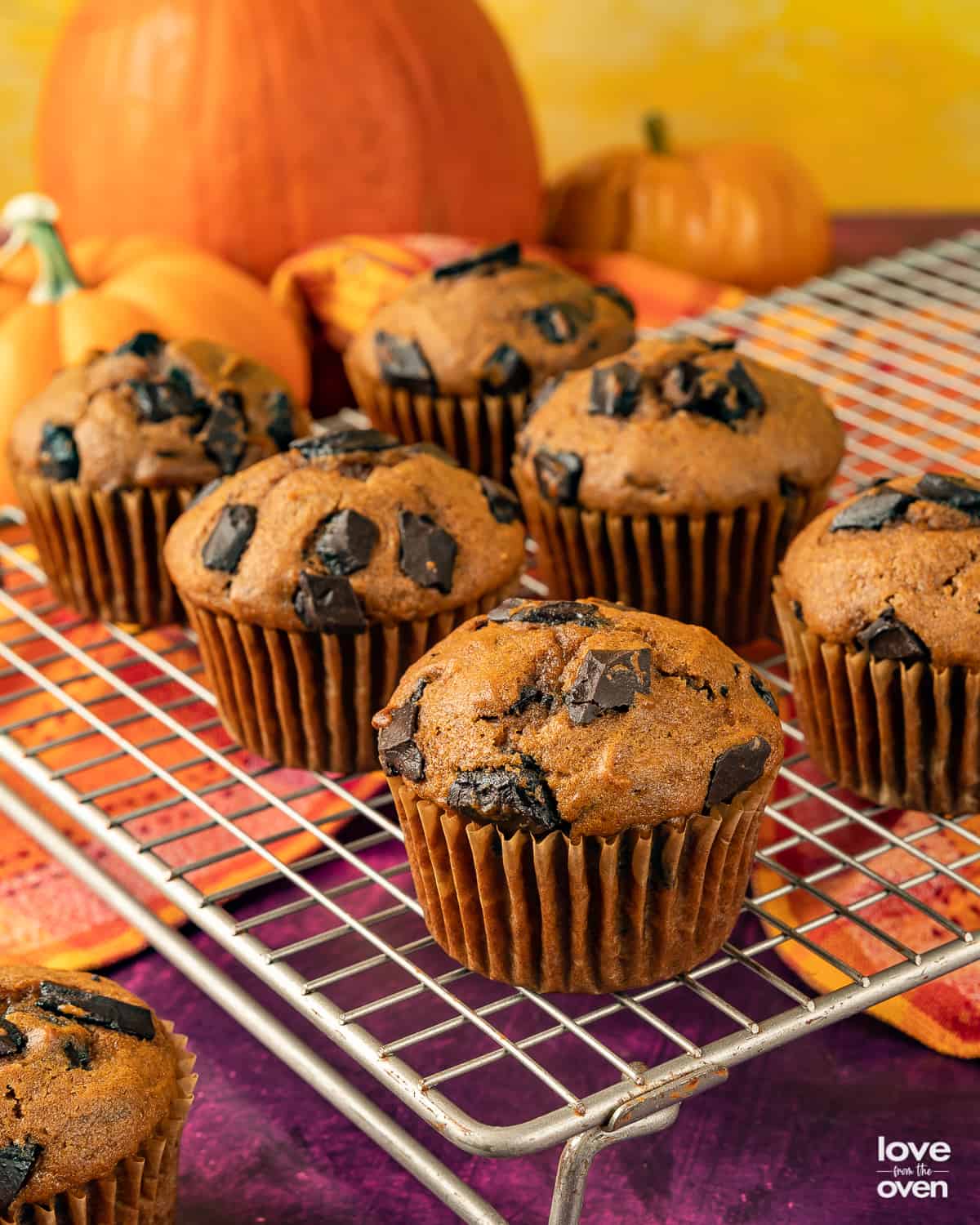 Chocolate Chip Pumpkin Muffins • Love From The Oven