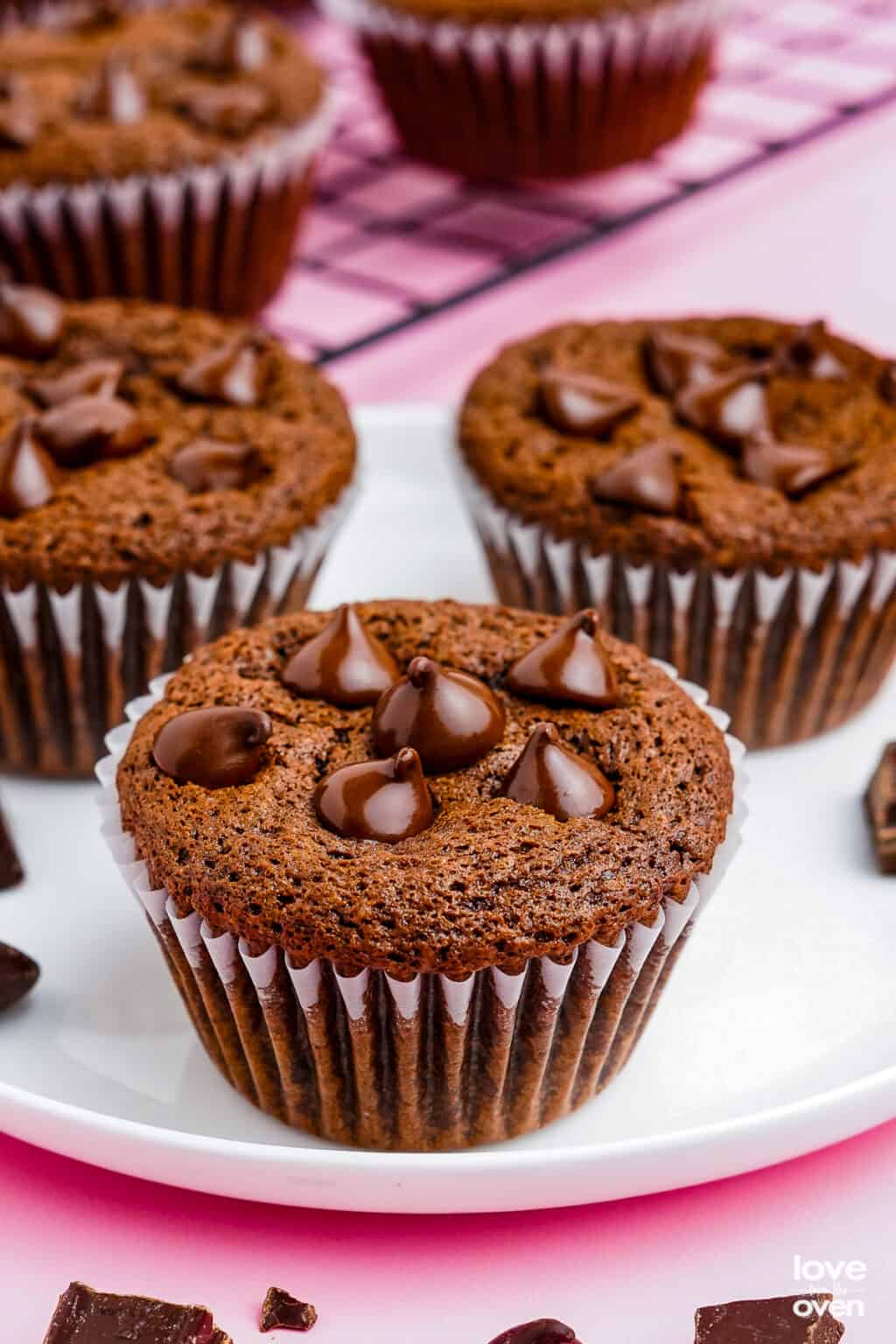 Chocolate Chocolate Chip Muffins • Love From The Oven