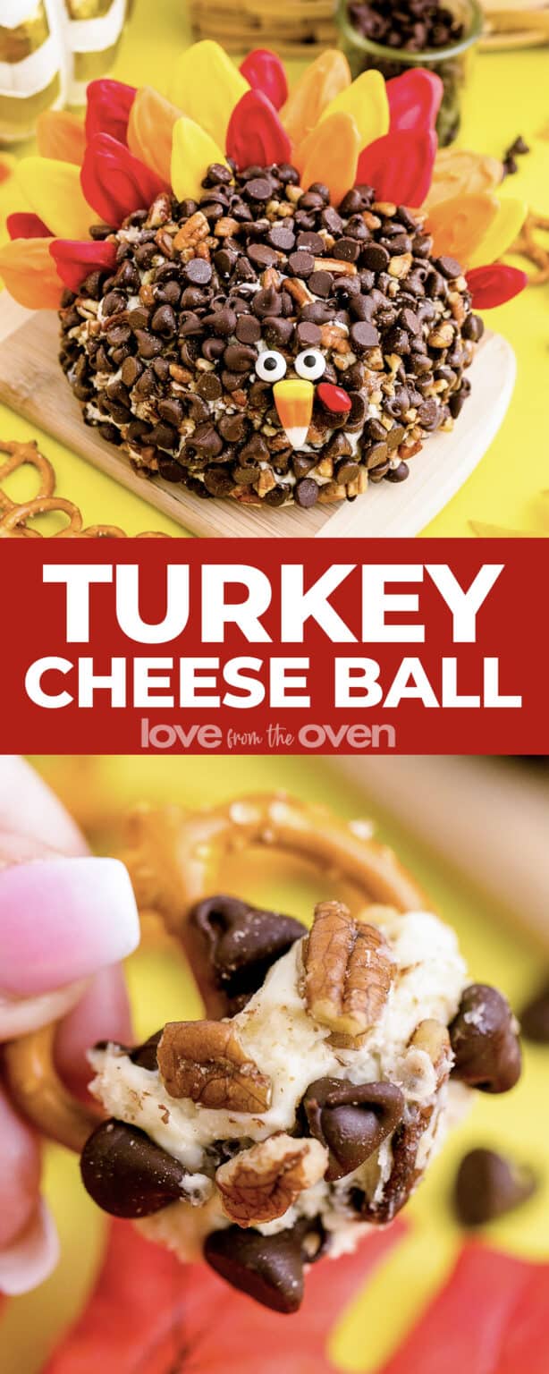Turkey Cheese Ball • Love From The Oven