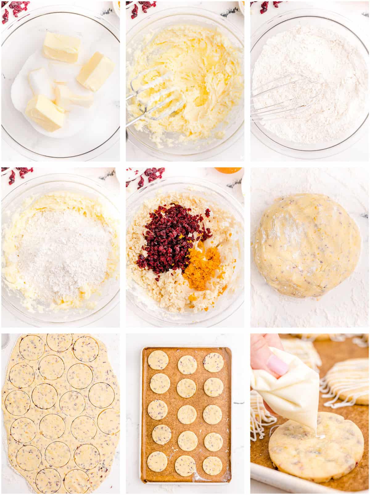 Orange Cranberry Cookies • Love From The Oven