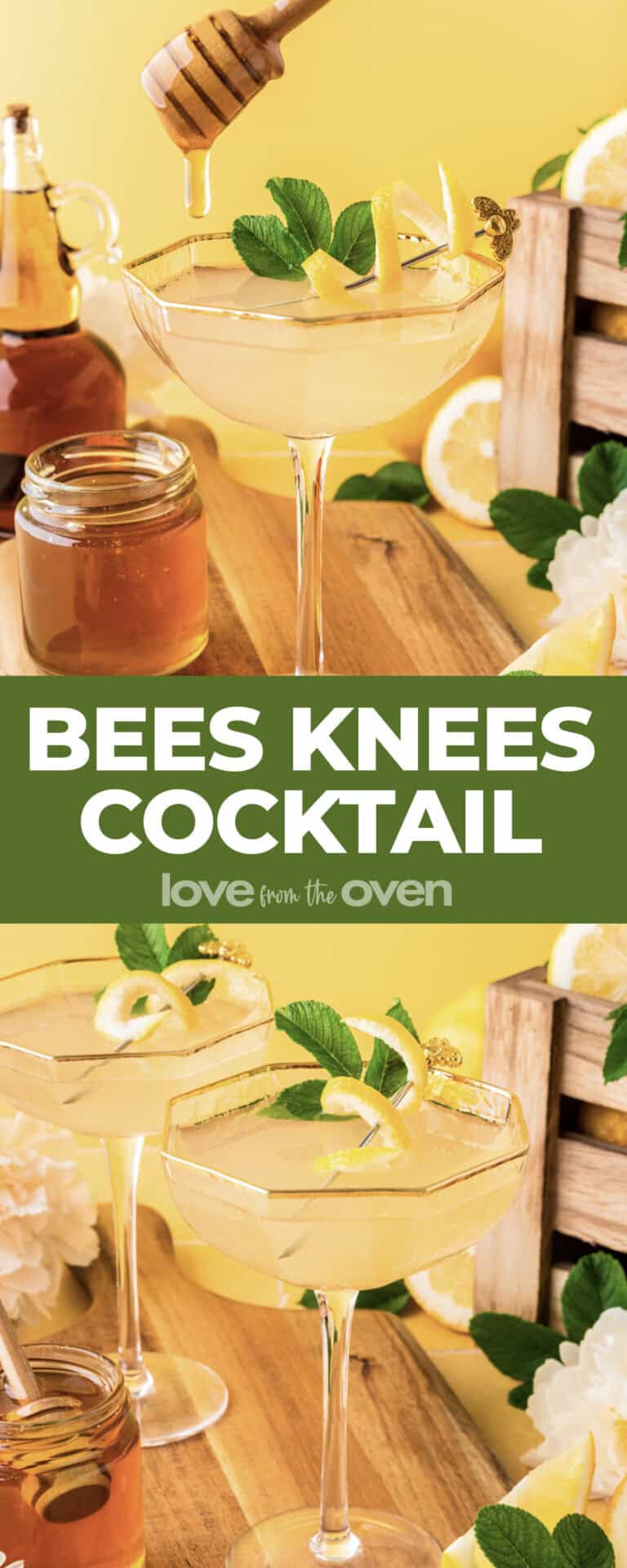 Bees Knees Cocktail Recipe